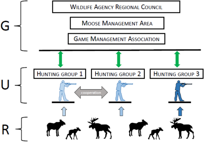Factors promoting hunting groups’ sustainable harvest of moose in a co ...