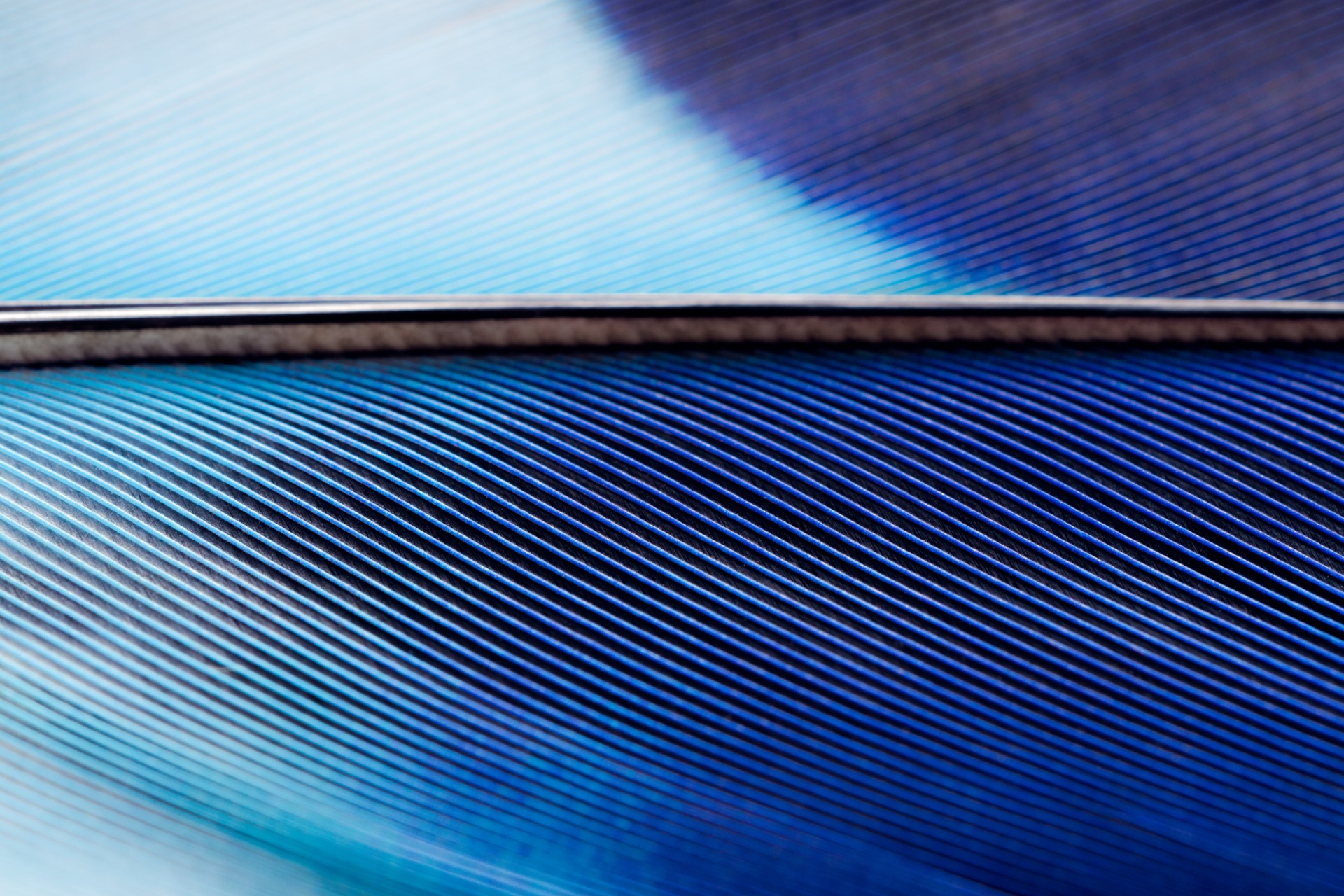SAP Shapes the Future of Data-Driven Business - Europeantech