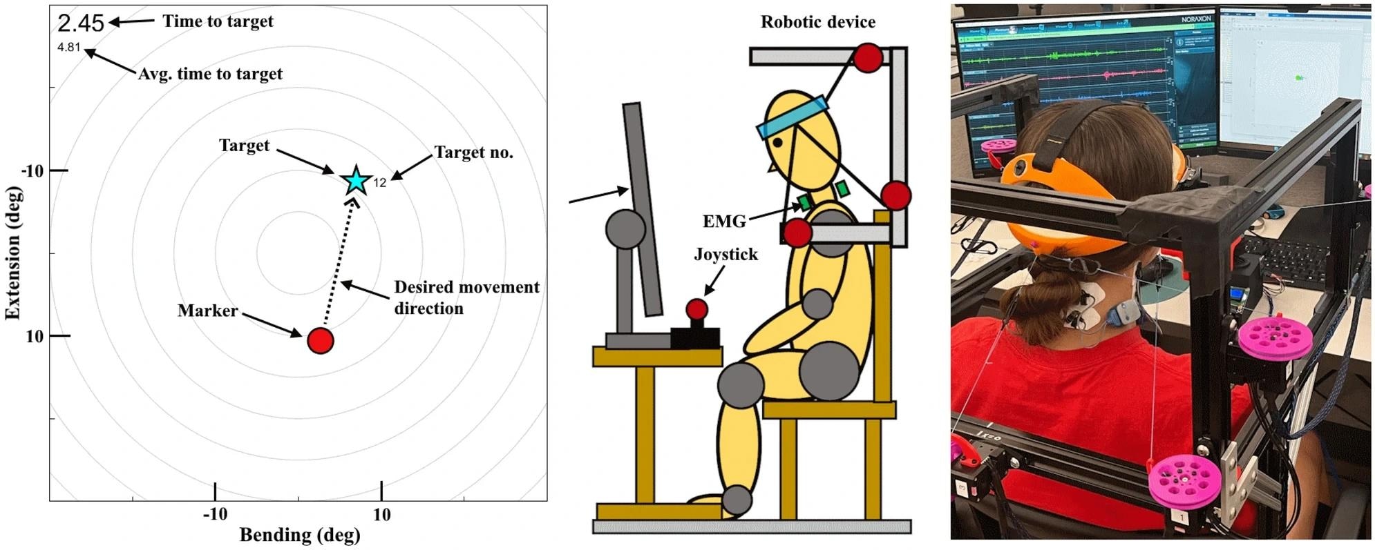 Cable-Driven Robotic Platform for Natural Head-Neck Movements ...