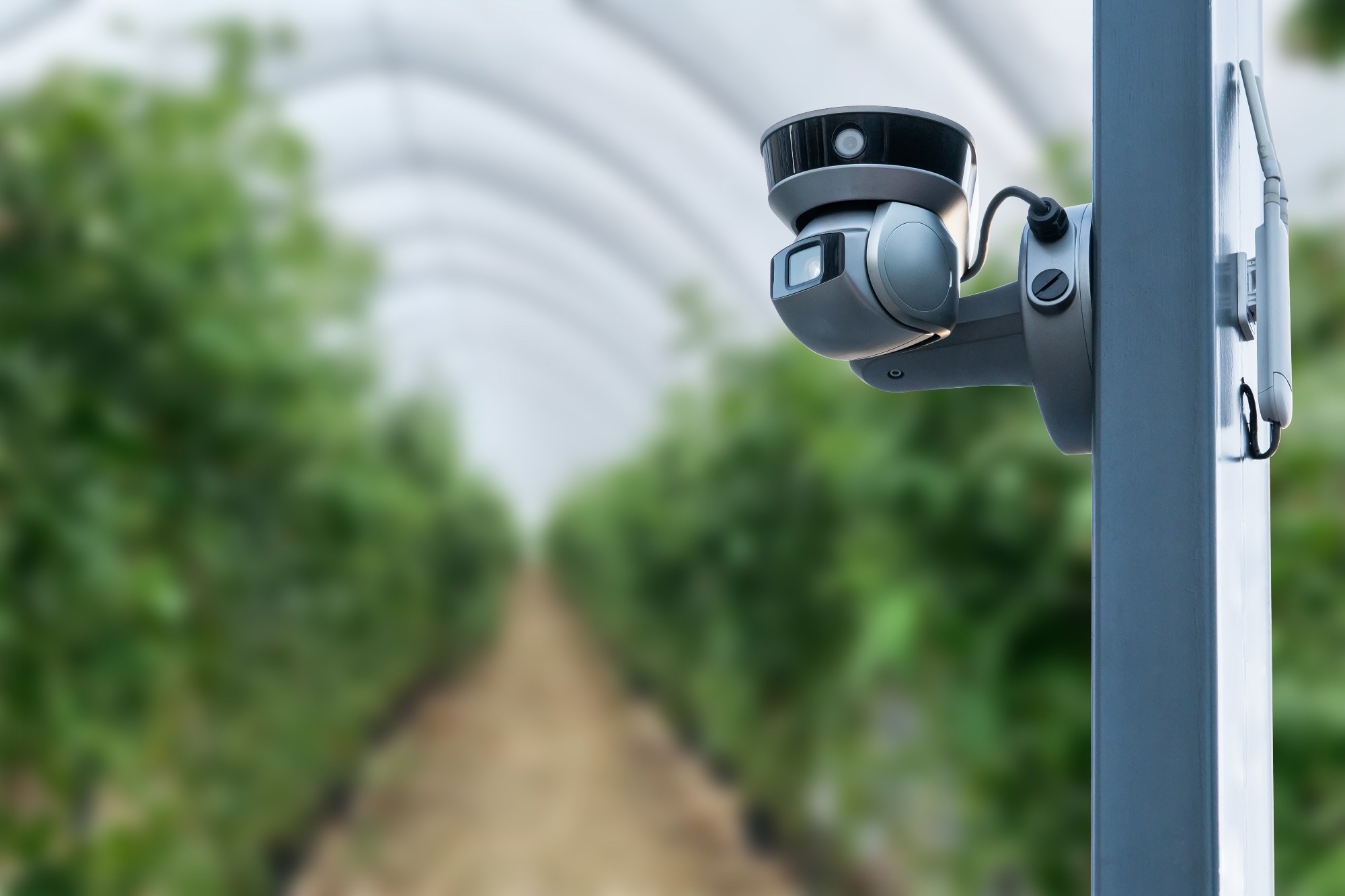 Low-Cost Robotic Camera for Greenhouse Plant Monitoring - Europeantech
