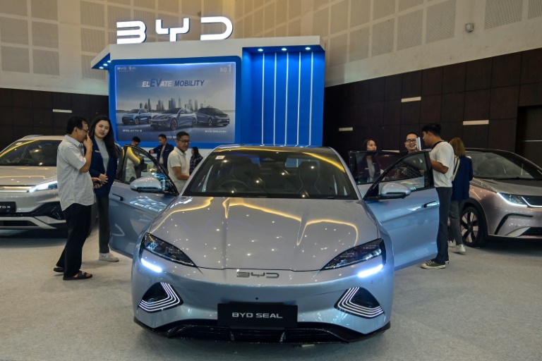 BYD says to build second EU factory despite EV slowdown - Europeantech