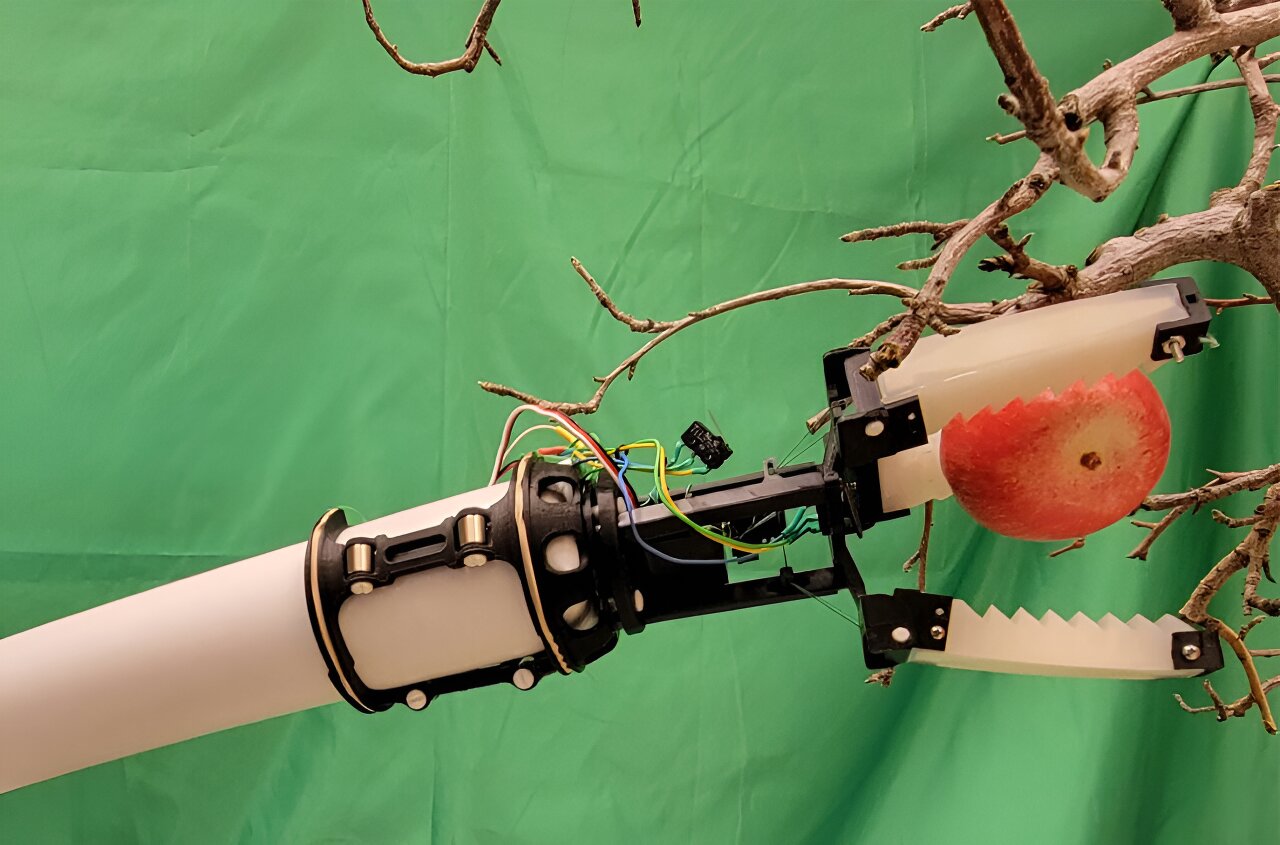 New robotic gripper for automated apple picking developed - Europeantech