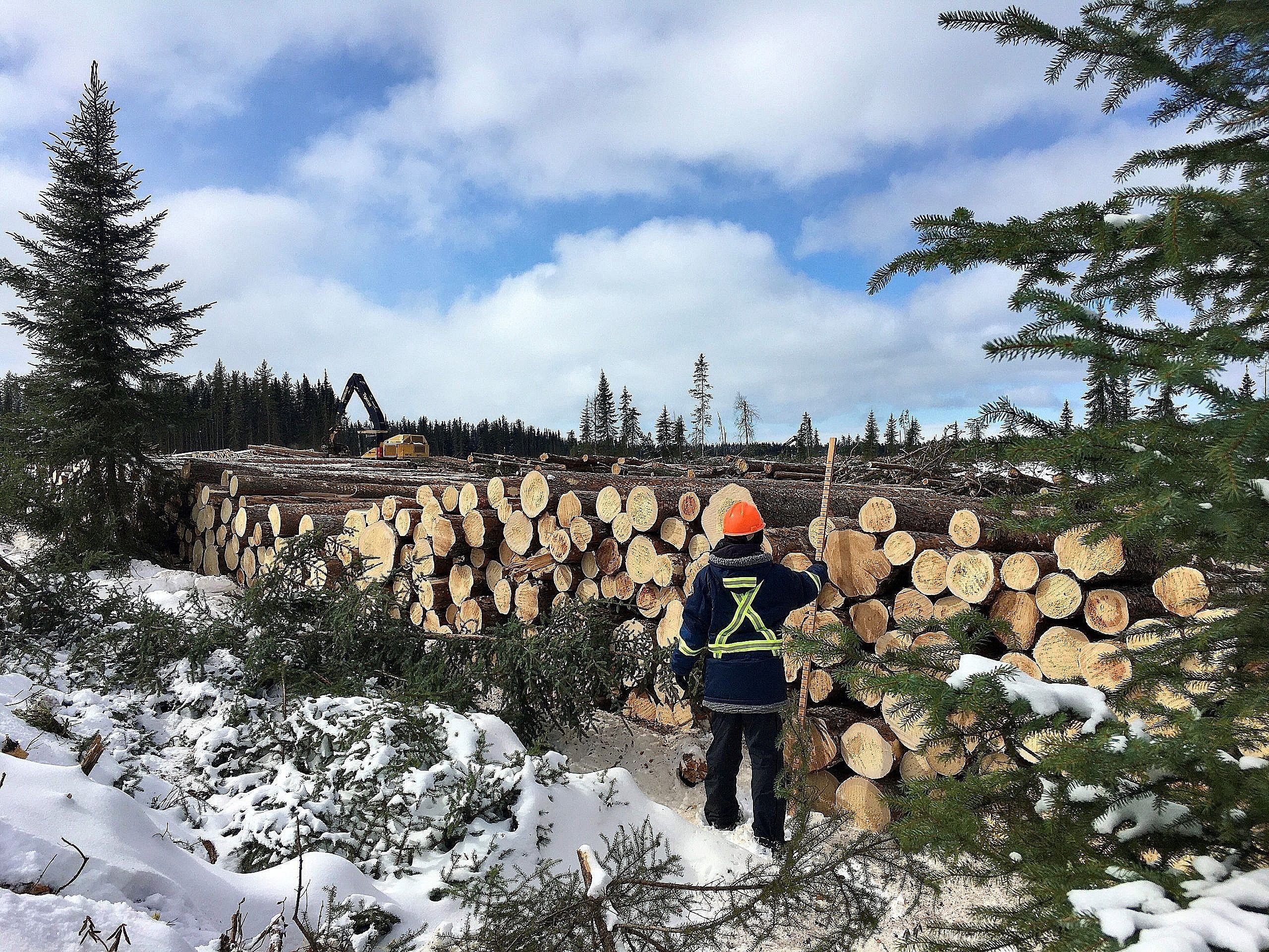 How Indigenous participation in forest management is changing resource ...