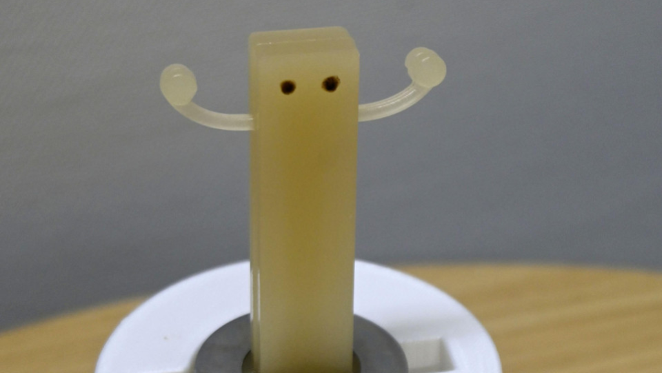 World's 1st "edible robot" offers researchers feast of insights ...
